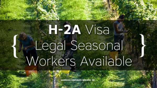 What Farmers Need To Know About H2A Visas - Beebuze